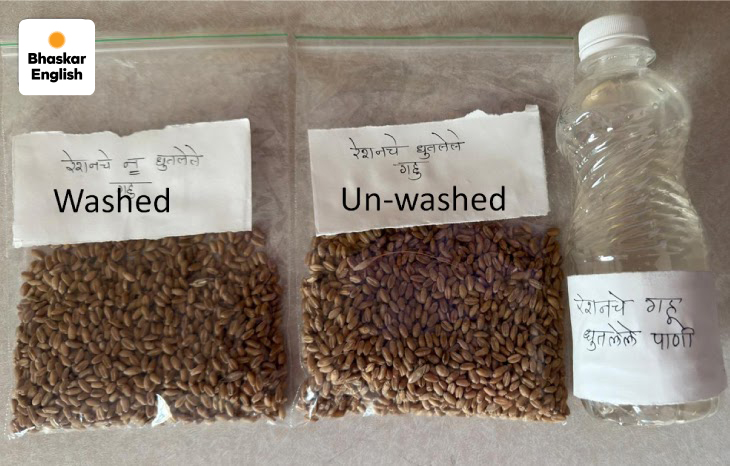 279 people lose hair in Maharashtra eating government wheat explained ...