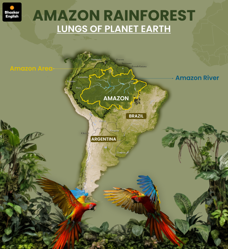 Brazil, COP 30, Amazon rainforest, Belem, explained, UNFCCC, Baku ...