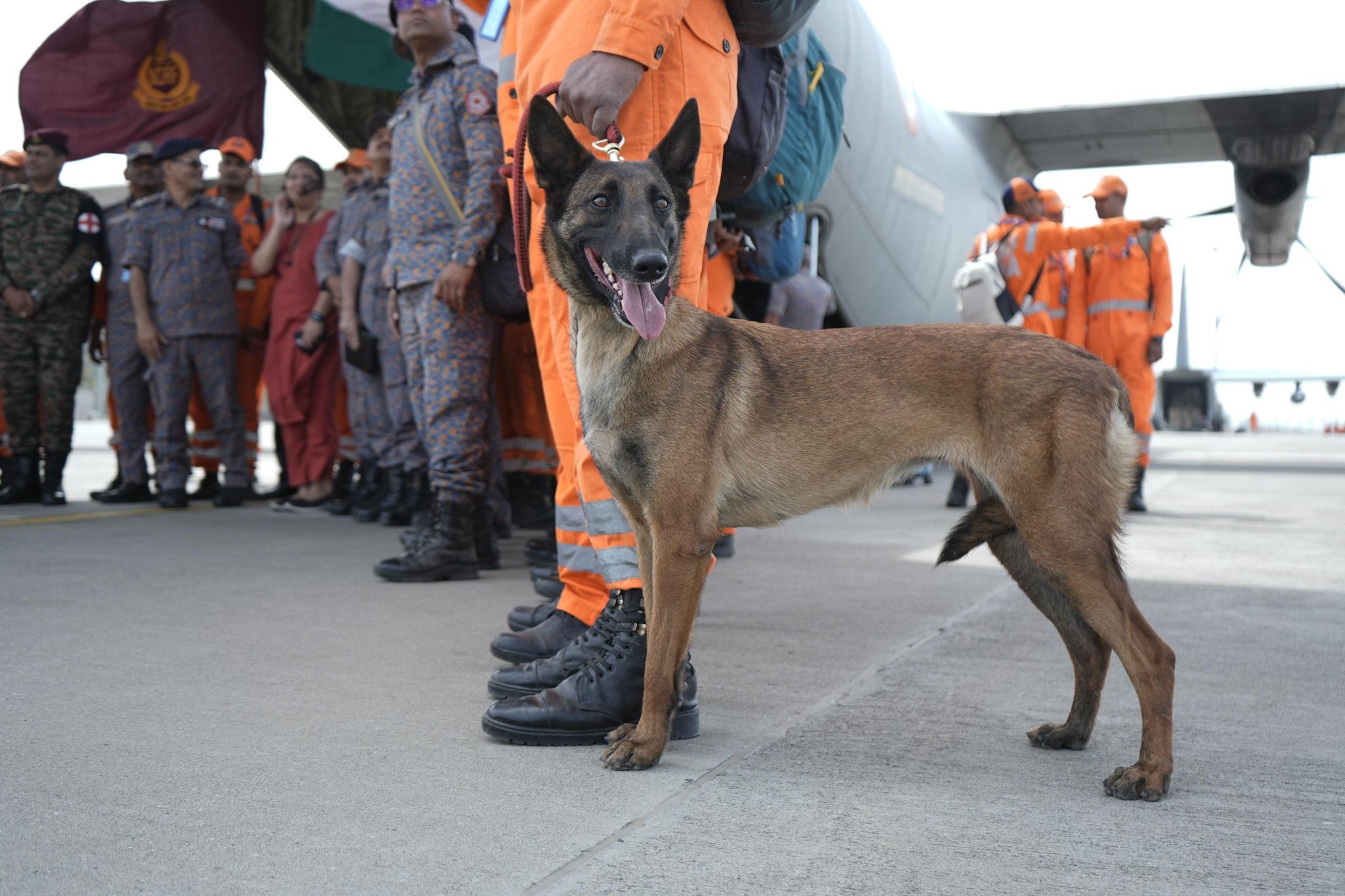 Death toll in Myanmar, Thailand earthquakes crosses 150 Dozens still ...