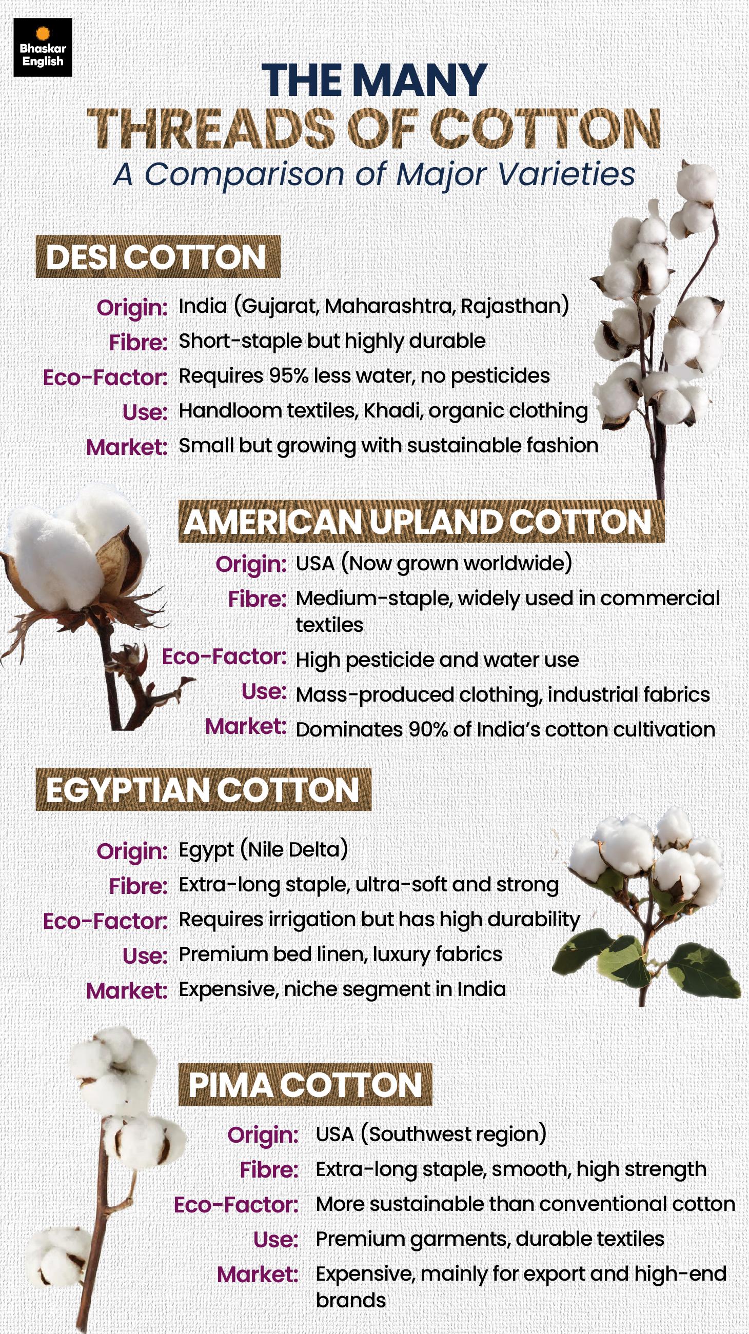 What Is Indian Cotton