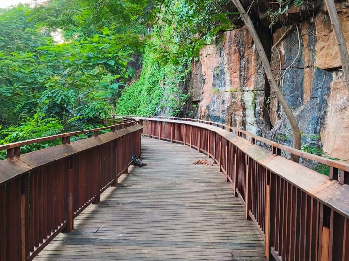 Mumbai gets first elevated nature trail at Malabar Hill: Tree top ...