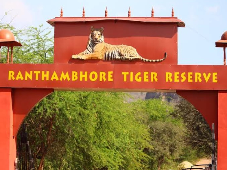 Ahmedabad man uses fake MP CM’s letter for Ranthambore excursion ...