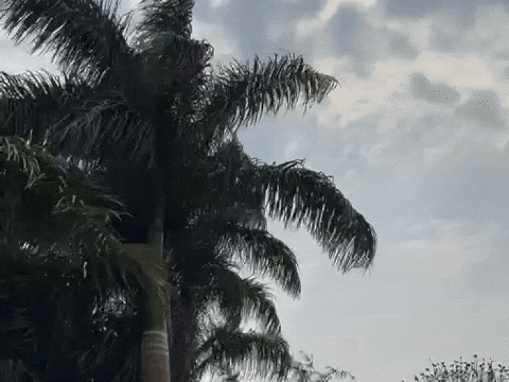 Hail, rain likely in Chhattisgarh till early April