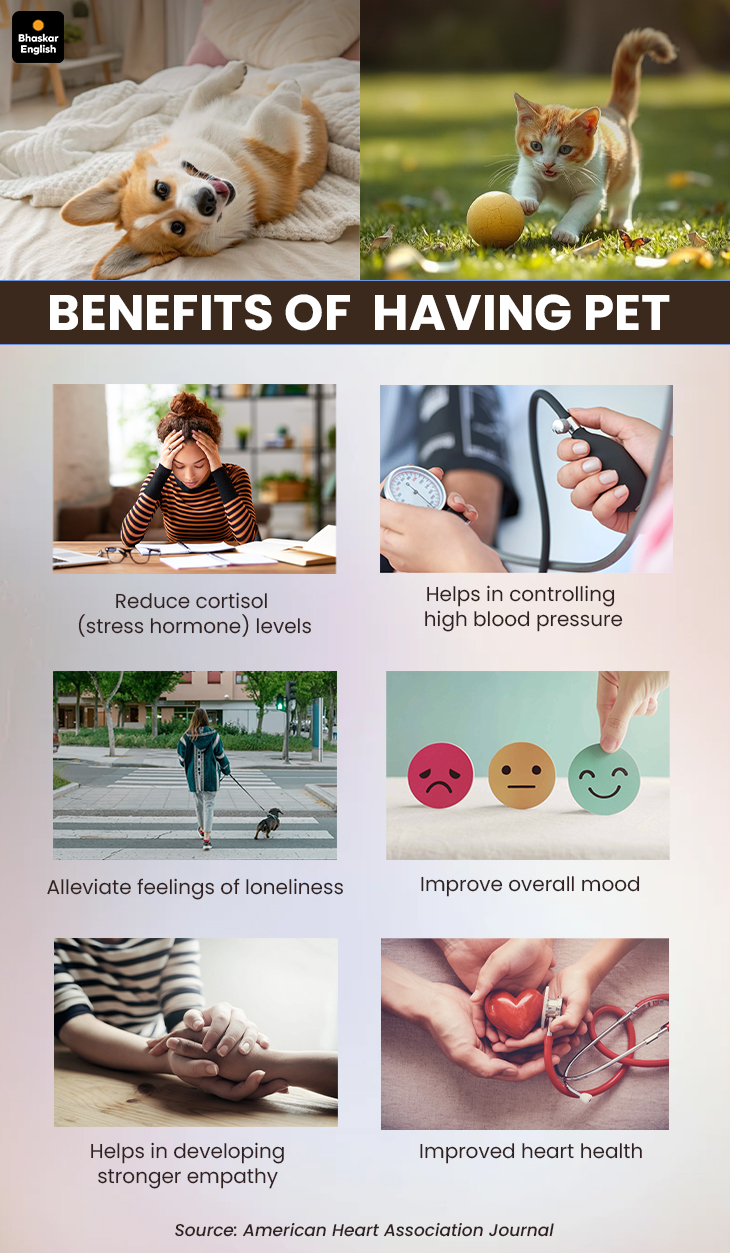 Health Benefits of Pets: Mental & Physical Health Advantages