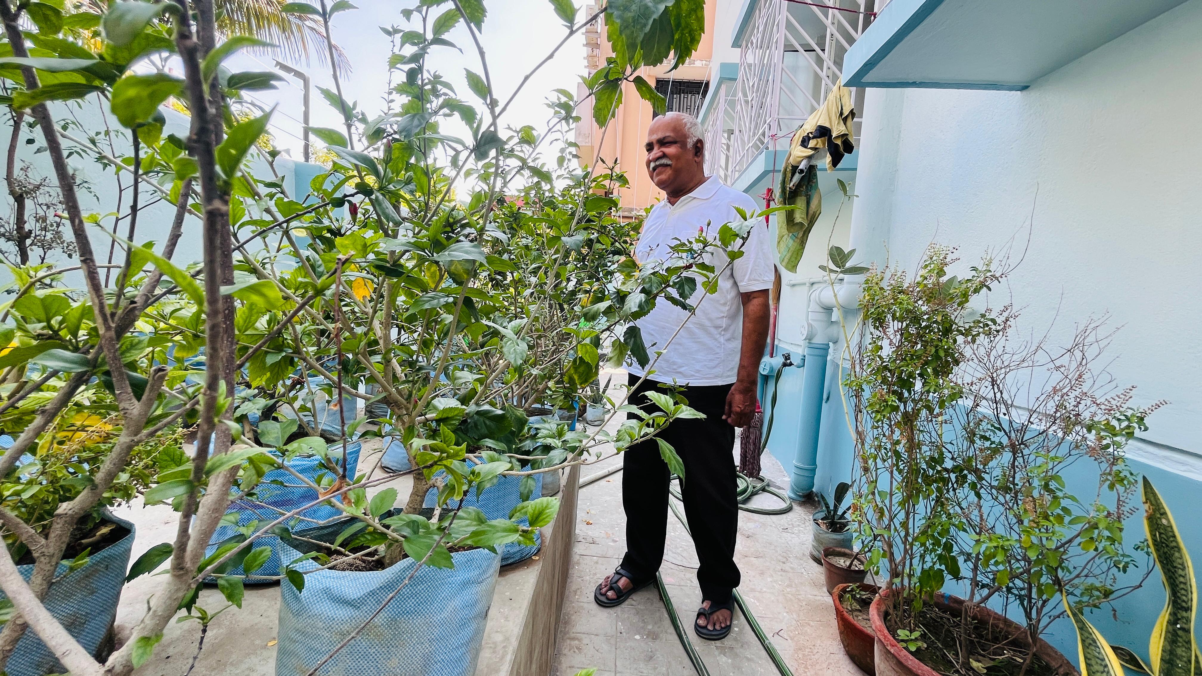 67-year-old Ramesh Chandran brings dying trees back to life; With ...