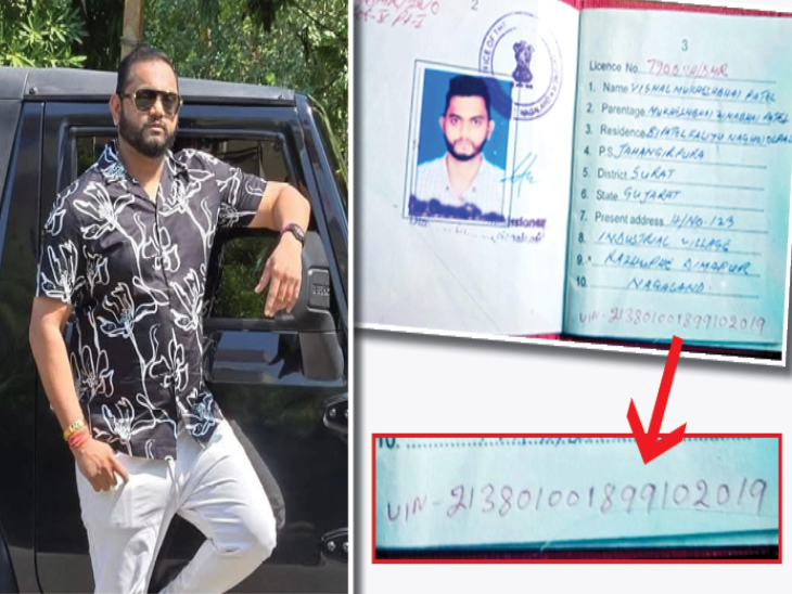 Nagaland arms licence found with Gujarat minister’s son under scanner ...