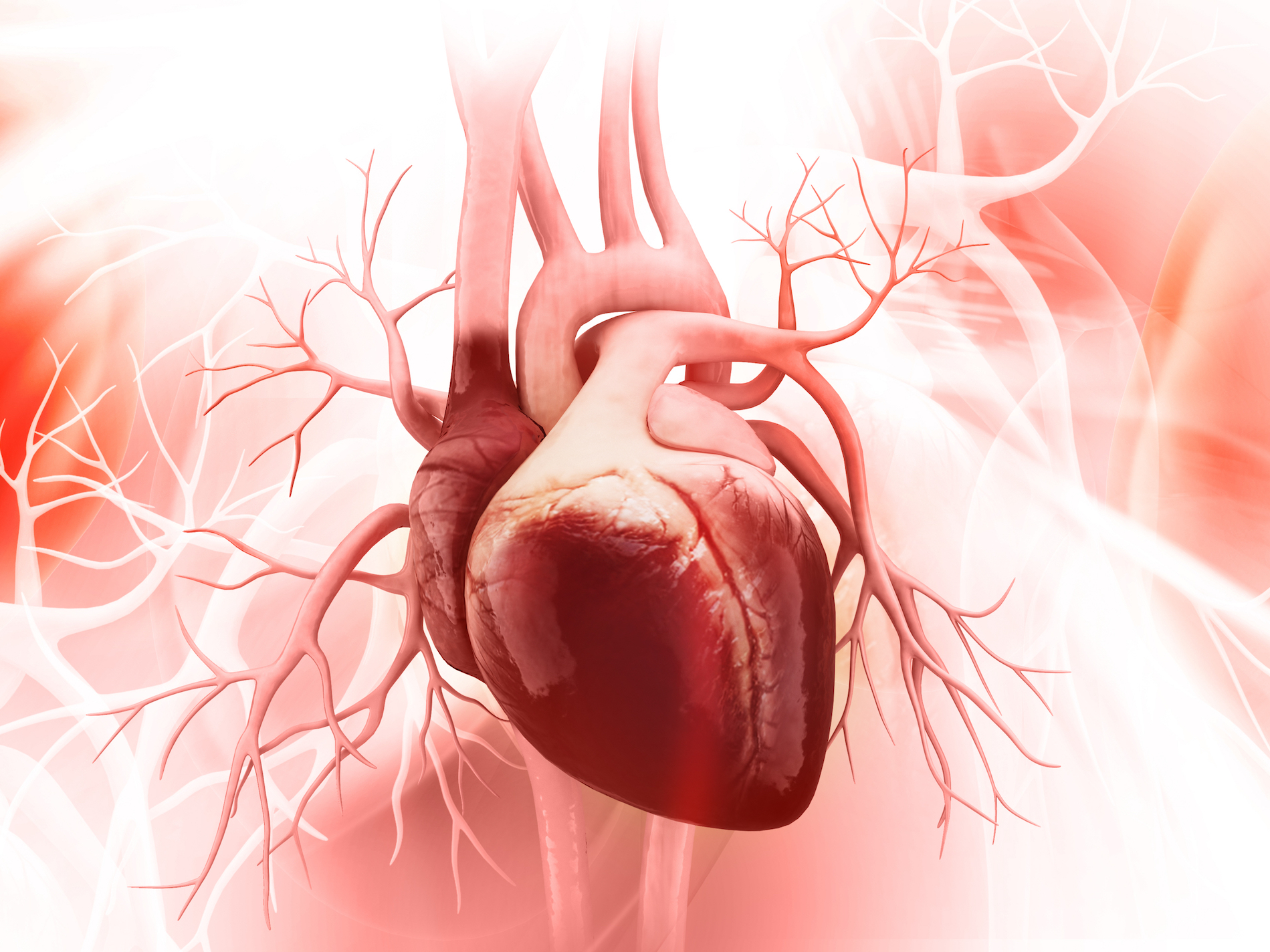 World’s first-ever heart transplant where the heart never stops