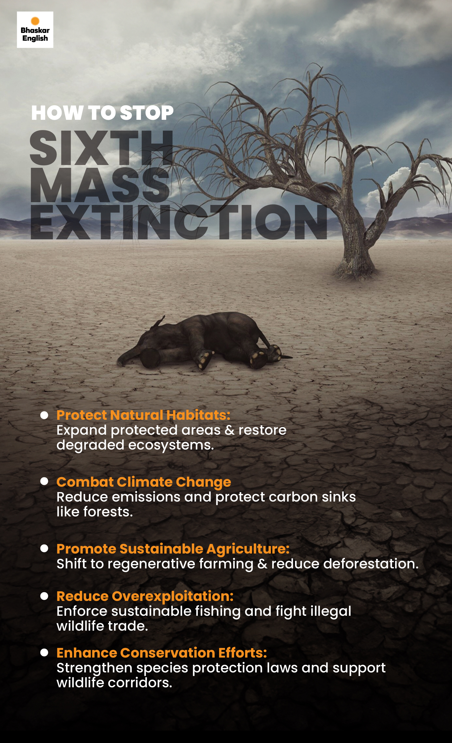 Mass extinctions on Earth from dinosaurs to volcano eruptions; humans ...