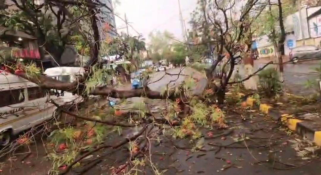 City logs highest-ever May rainfall after 1886; 139-Year rainfall ...