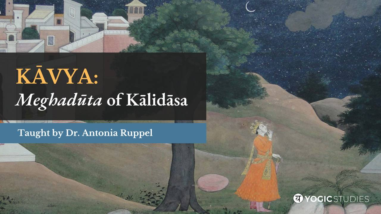 India’s Rain Traditions: Frog Weddings, Megh Malhar, and Ayurveda ...