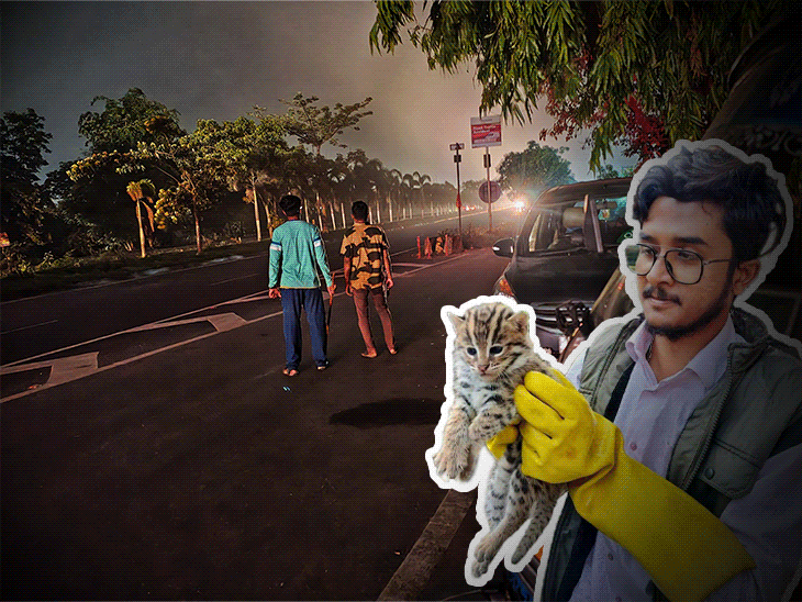 Animal hunting still threatens Bengal’s wildlife - West Bengal News ...