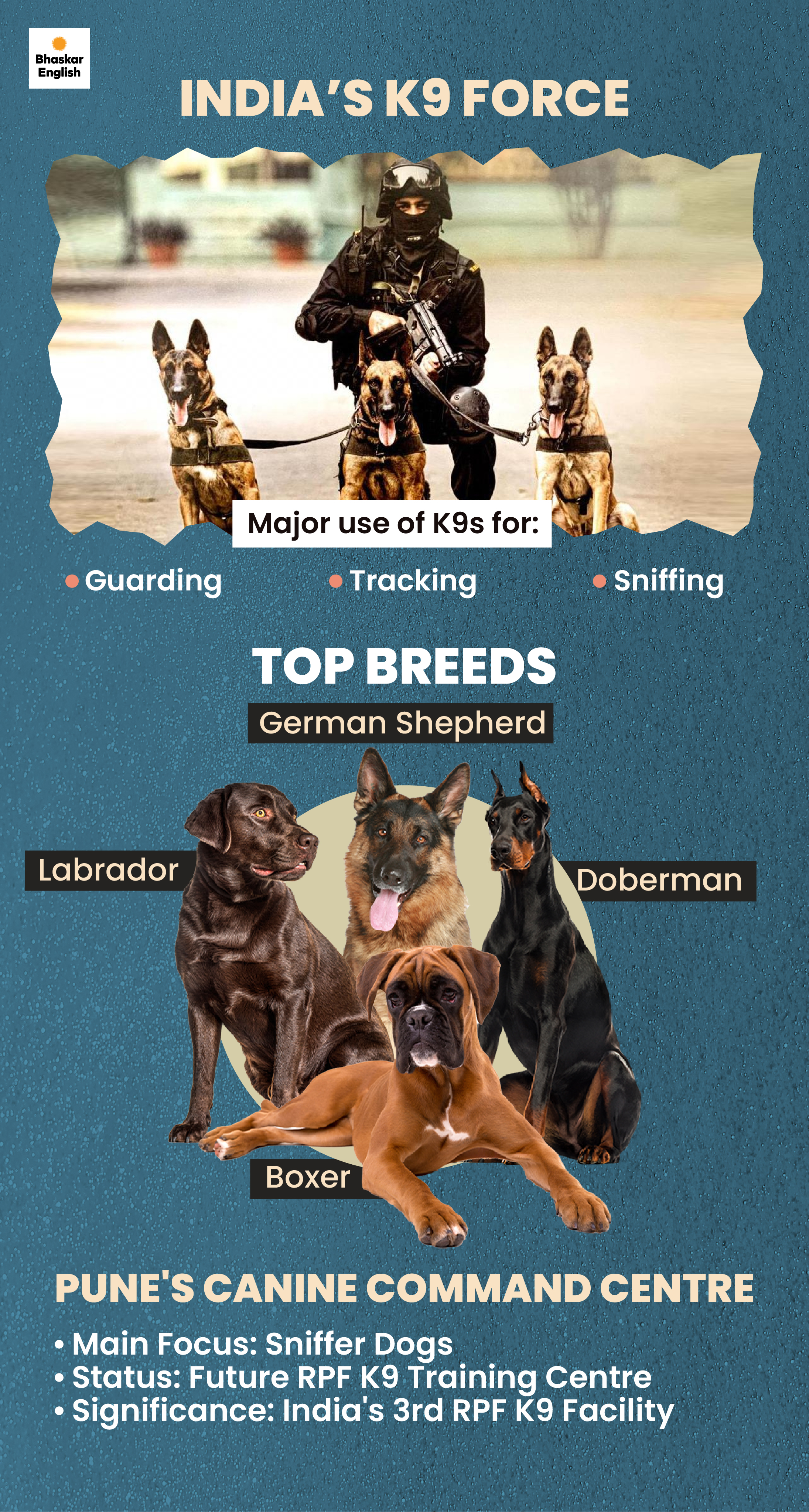 Animals becoming “new soldiers” of armed forces: How Rats and Dolphins ...