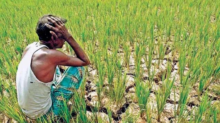 Smuggling of Microorganisms | The Emerging Threat of Agroterrorism ...