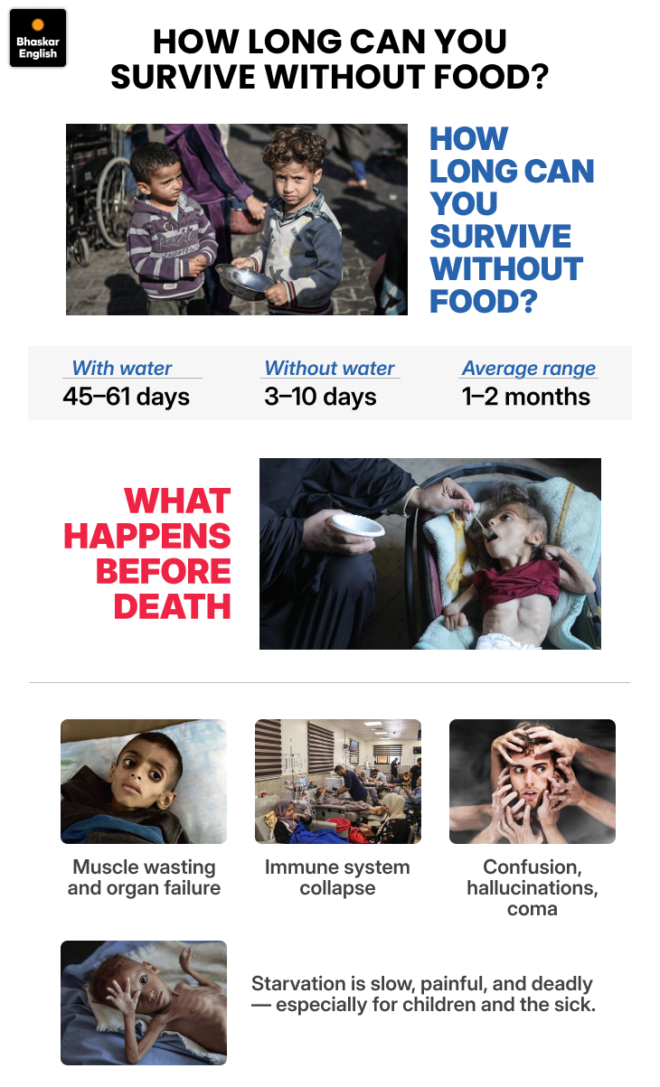 gaza-starvation-greta-thunberg-aid-human-body-without-food