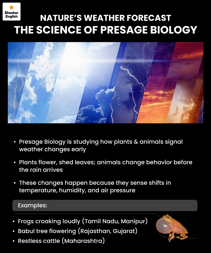 nature-monsoon-signs-india-animals-birds-plants-prediction | Bhaskar ...