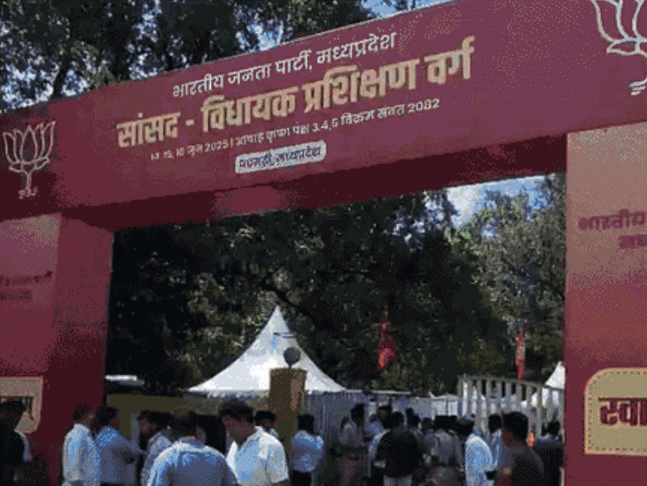 Snake spotted at BJP training camp in Pachmarhi: MPs, MLAs advised to ...