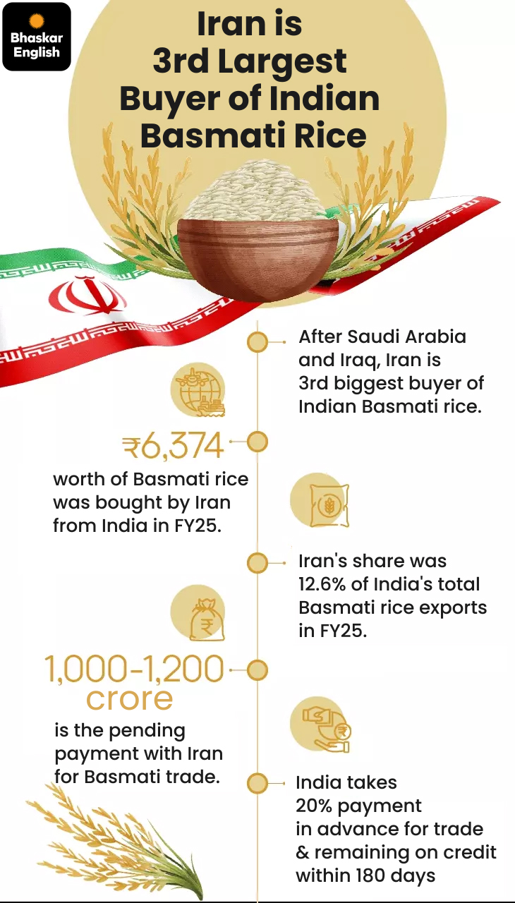 How Israel-Iran conflict can make Basmati rice cheaper in India; price ...