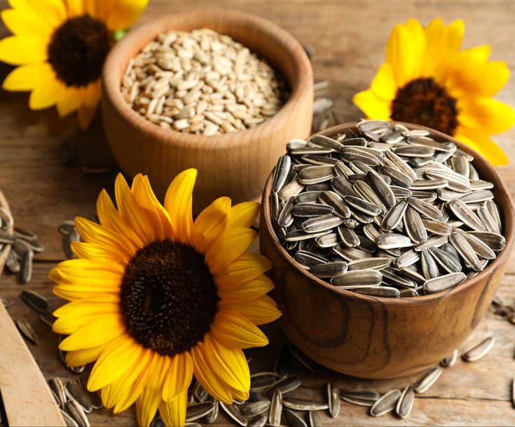 healthy morning breakfast with 5 seeds filled with nutrients