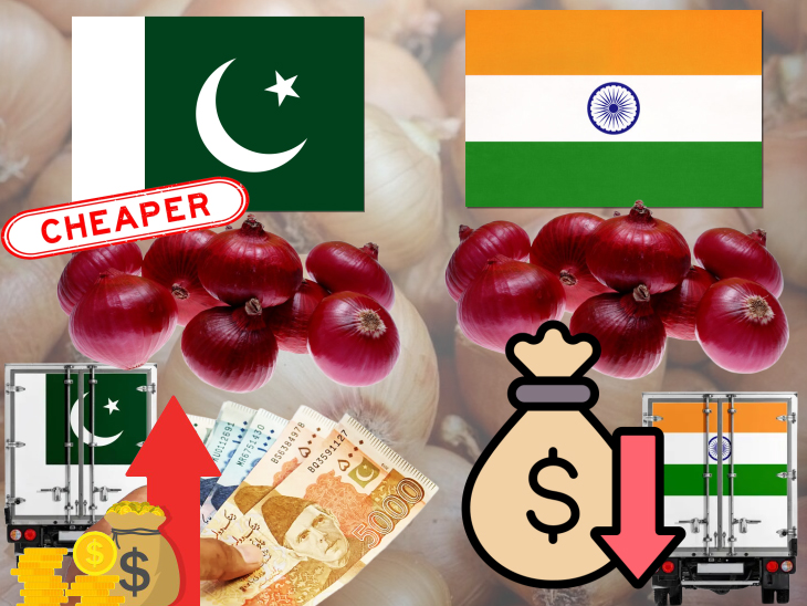 Pakistani Onions Overtake India in Global Market | Cheaper, Stronger Exports Win Buyers ...