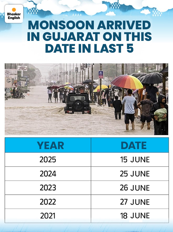 'Haven't seen anything like this last 5-7 years': Experts shocked by ...