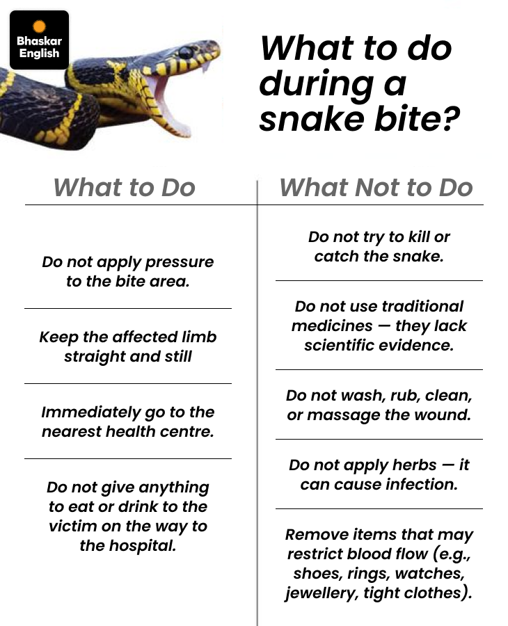 How venomous snakes deceive and bite?