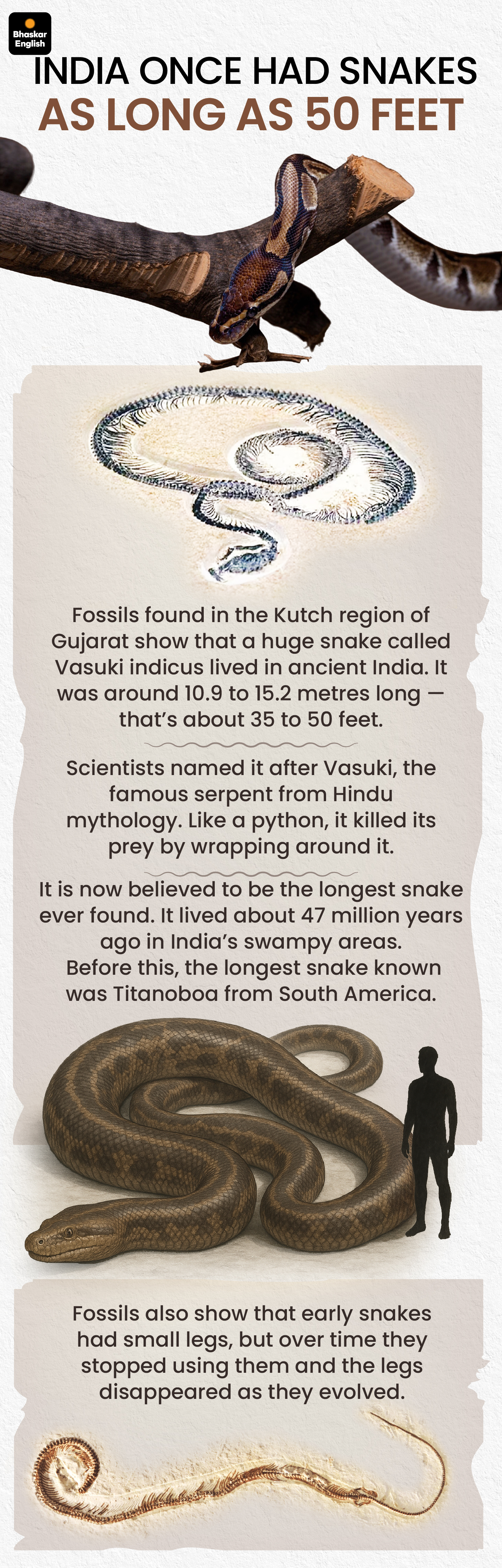 snake-elephant-strength-human-bond-history