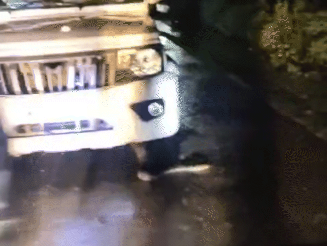 12-foot-long python slithers into police jeep during patrol: Constable spots it in time & exits ...