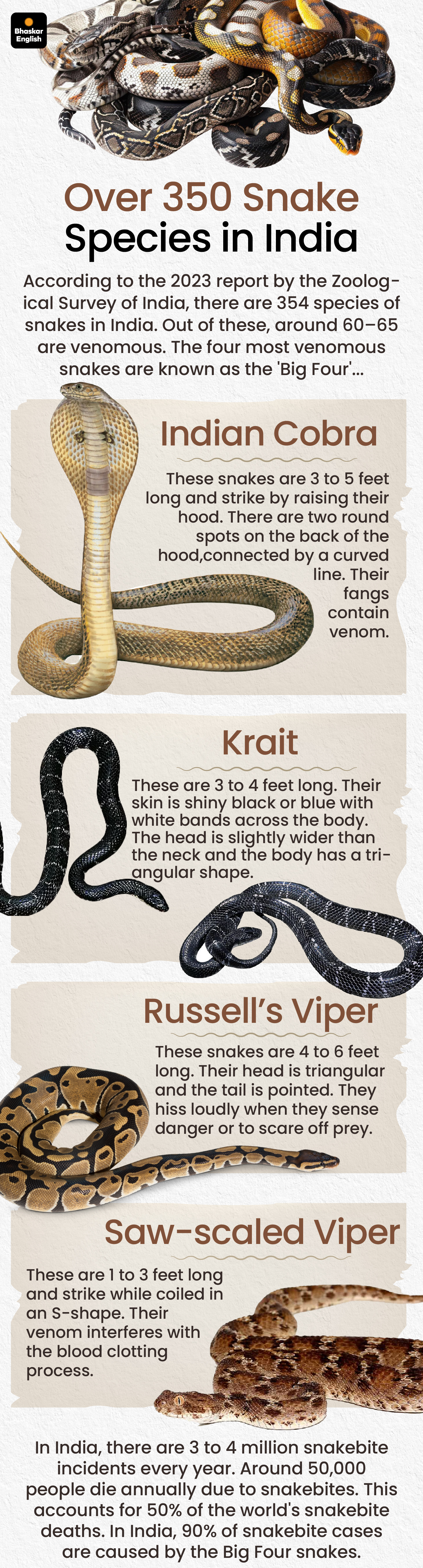 snake-elephant-strength-human-bond-history