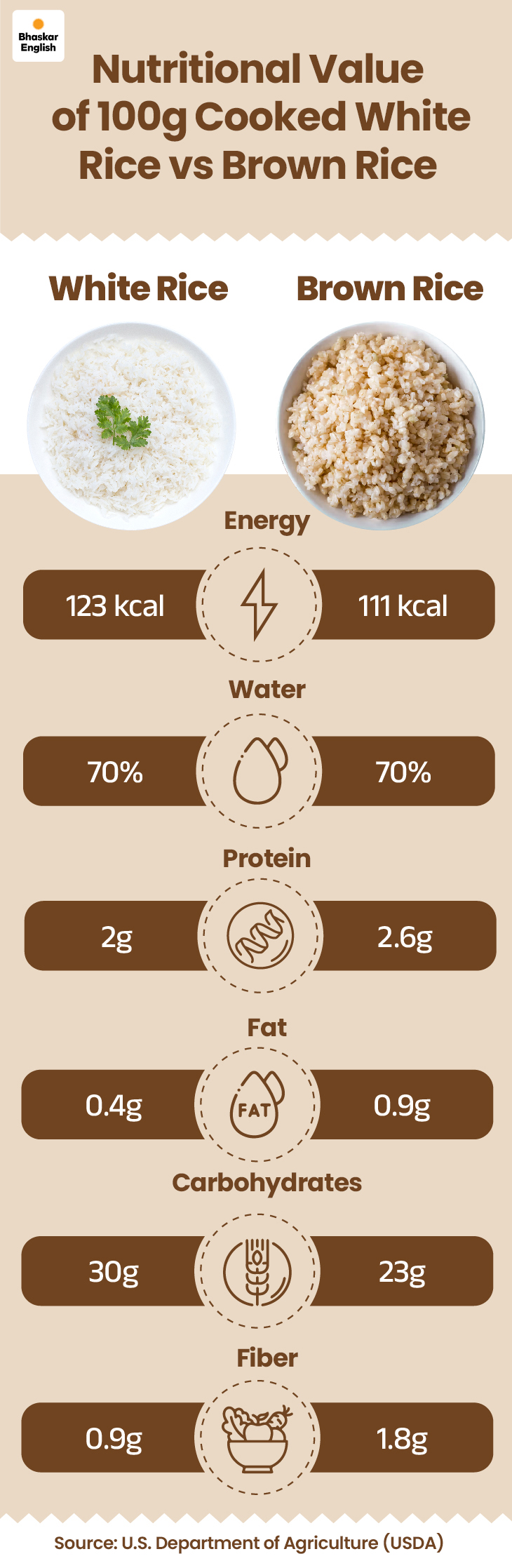 Physical Health - Does eating rice cause diabetes | Bhaskar English