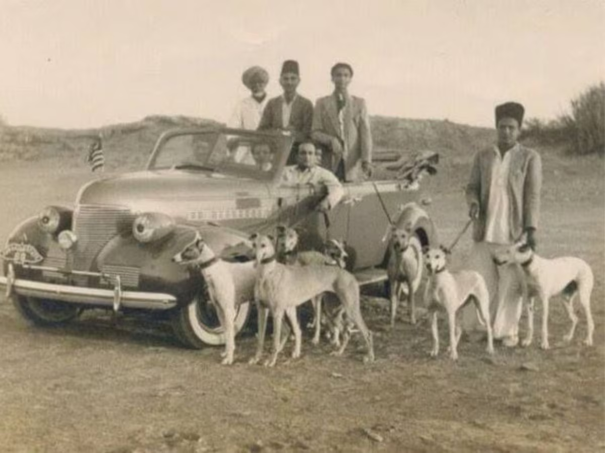 How Junagadh’s Flight to Pakistan Ended with a Nawab, His Dogs, and ...