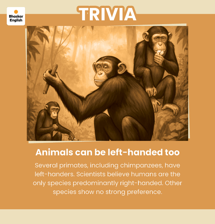 Why Lefties Are Different: Understanding the Left-Handed Brain and Success