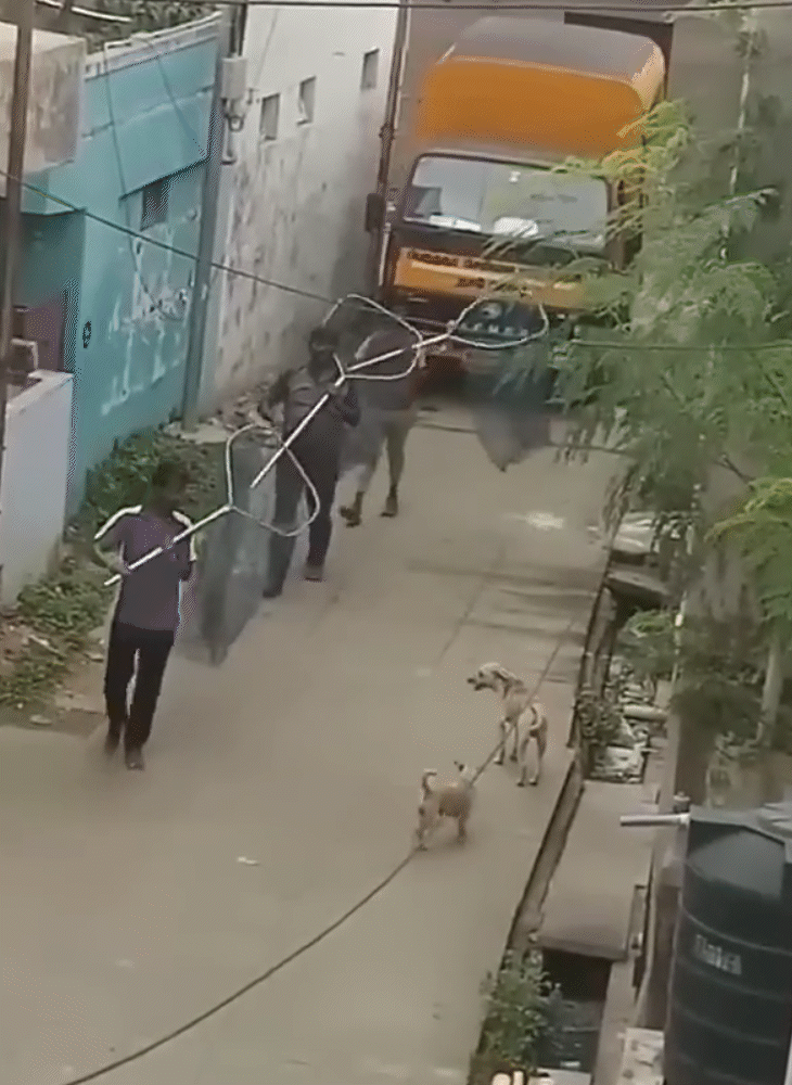 Delhi NCR Dog Attack Case Explained; US UK Singapore | Supreme Court