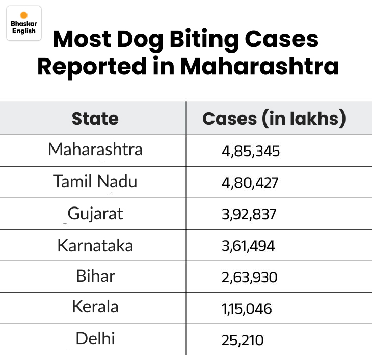 Karnataka MLC says 'Got 2800 dogs killed'; Poisoned food, buried under ...