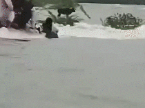 Surwal Dam Boat Capsizes in Sawai Madhopur, Nine Swept Away, Three ...