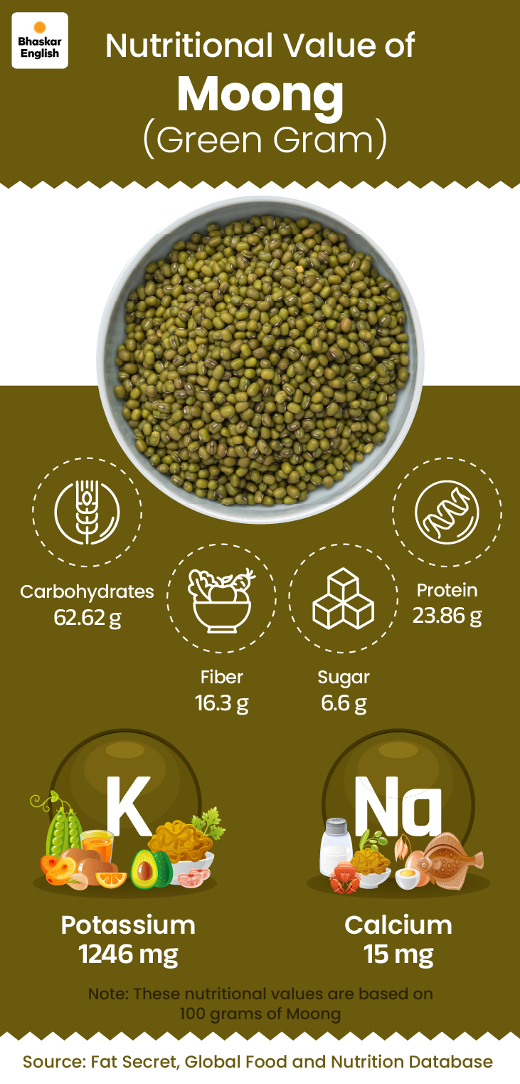 7 Best Protein Rich Beans
