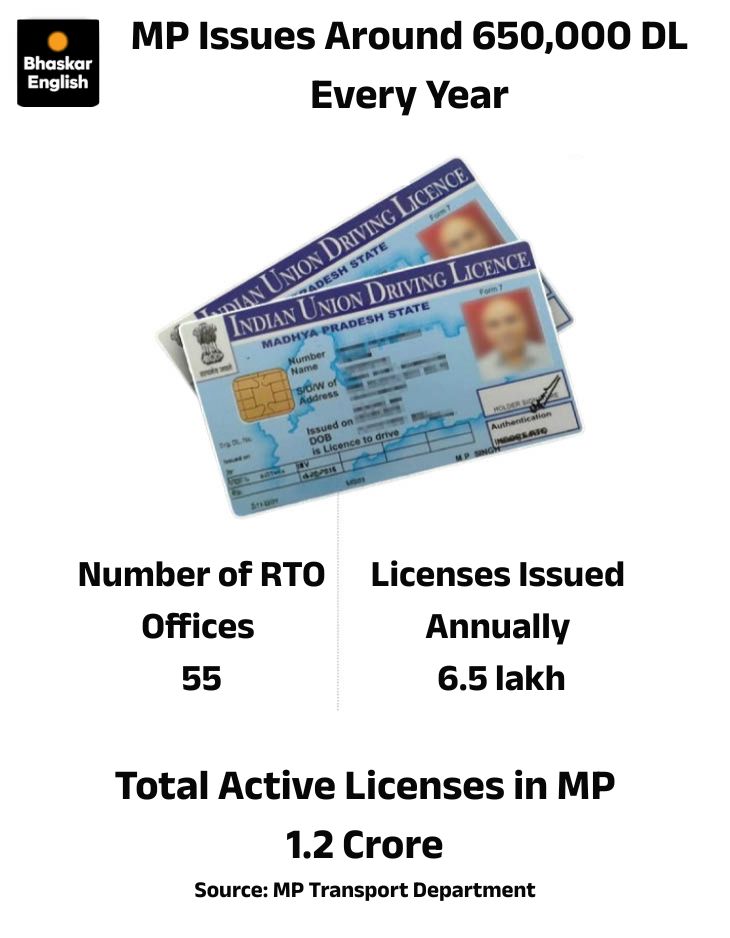 MP becomes hub for fake Driving License circulation: Bhaskar reveals ...