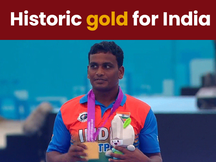 India clinch 7 medals at Para World Archery: First-ever individual ...