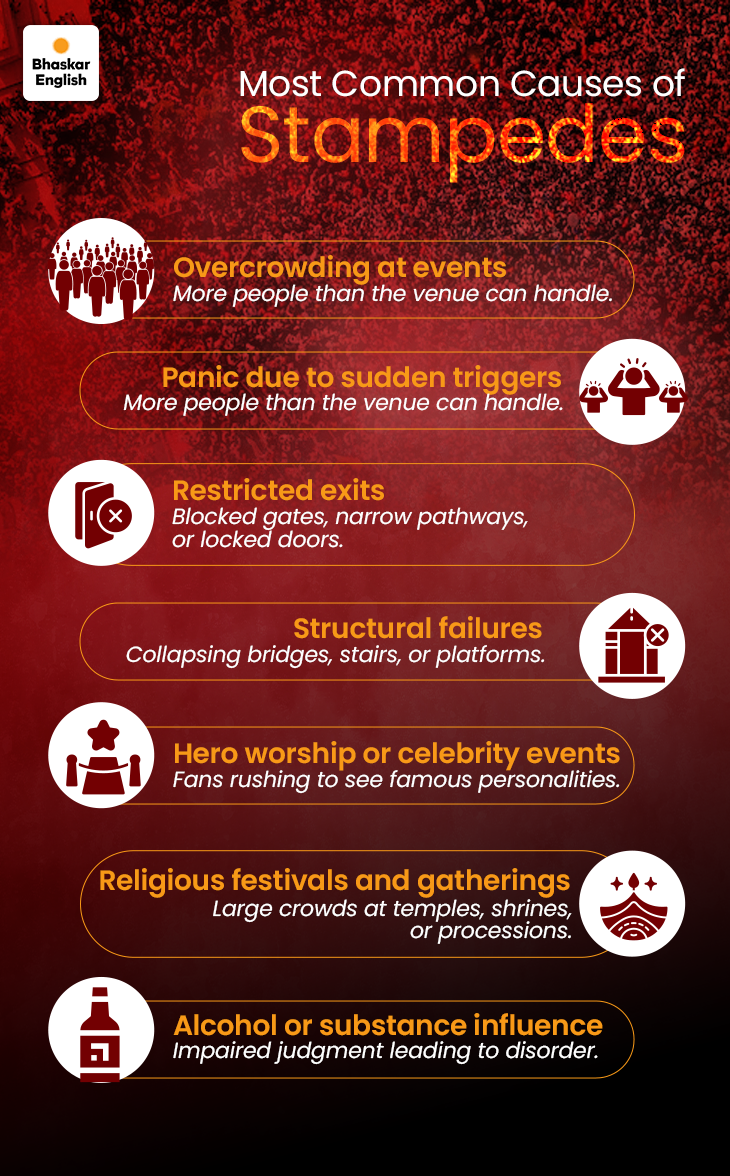 TVK Vijay Rally Stampede Kills 41: Understanding India’s Recurring ...