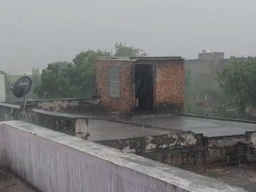 Heavy rain alert in 24 districts, including Jaipur: Rain continues for ...