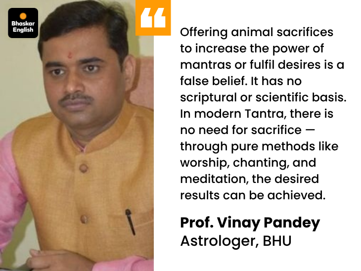 Tantric rituals and animal sacrifice on Diwali What really happens on ...