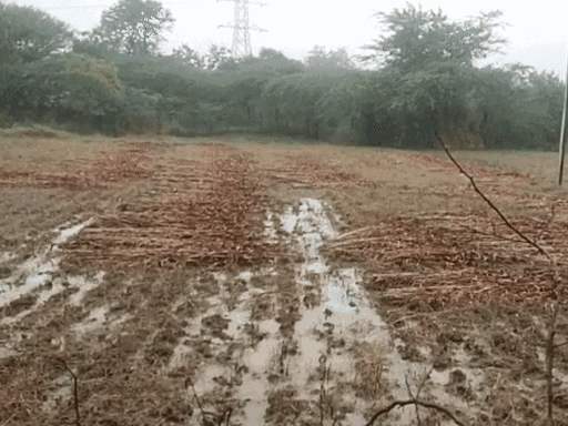 Twin cyclones alter Rajasthan weather; Rain hits Kota, Udaipur and ...