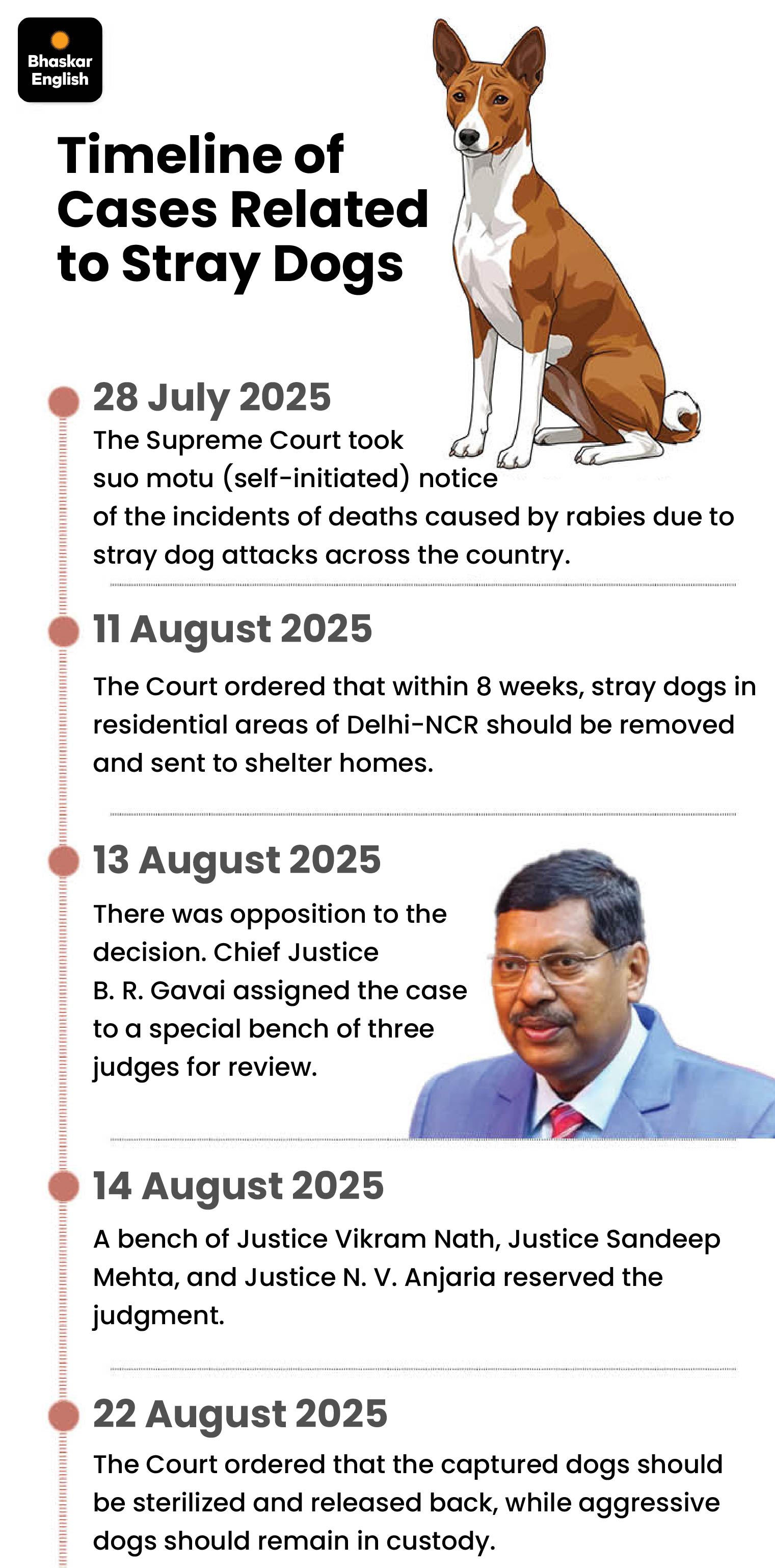 Supreme Court hearing on stray dogs tomorrow; Case assigned to special ...