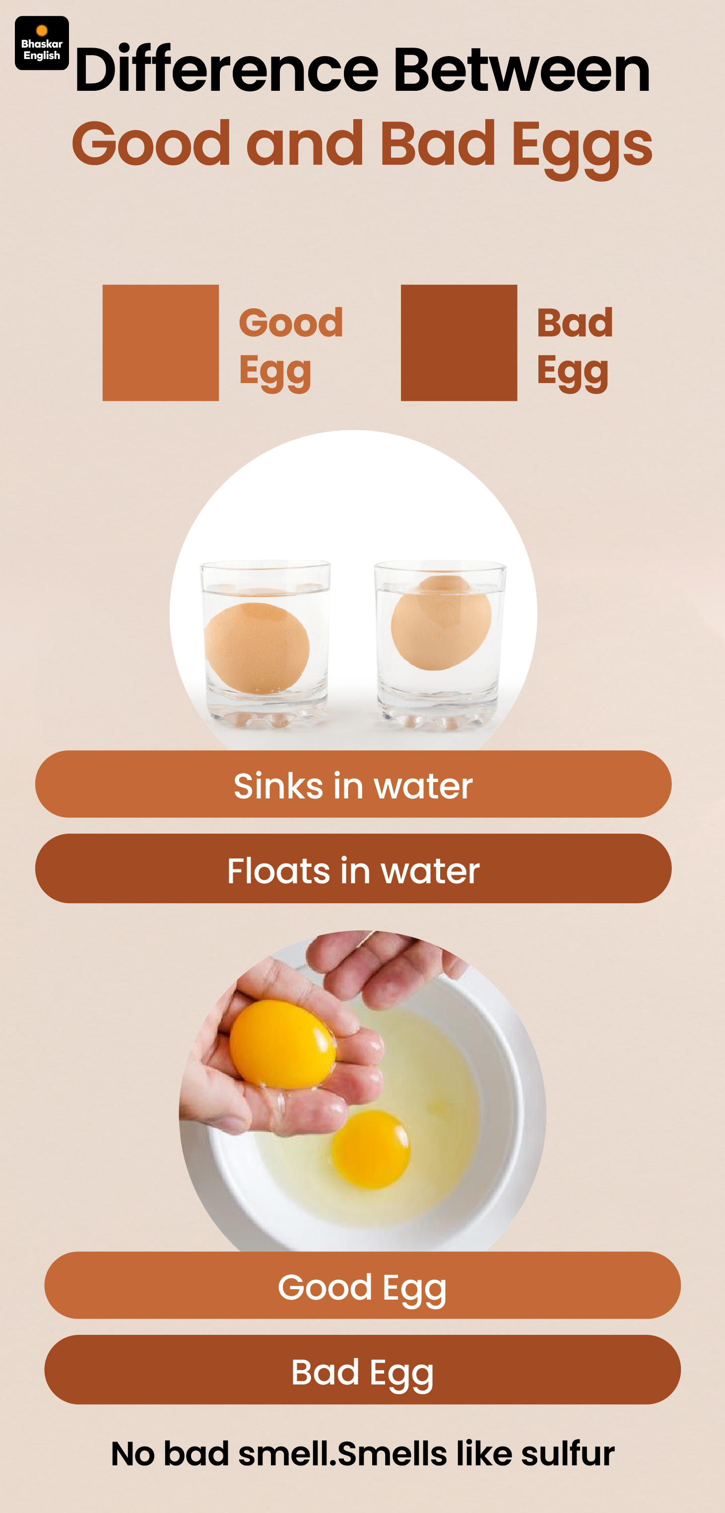 Rotten eggs can cause Liver Abscess now how to identify good and bad ...