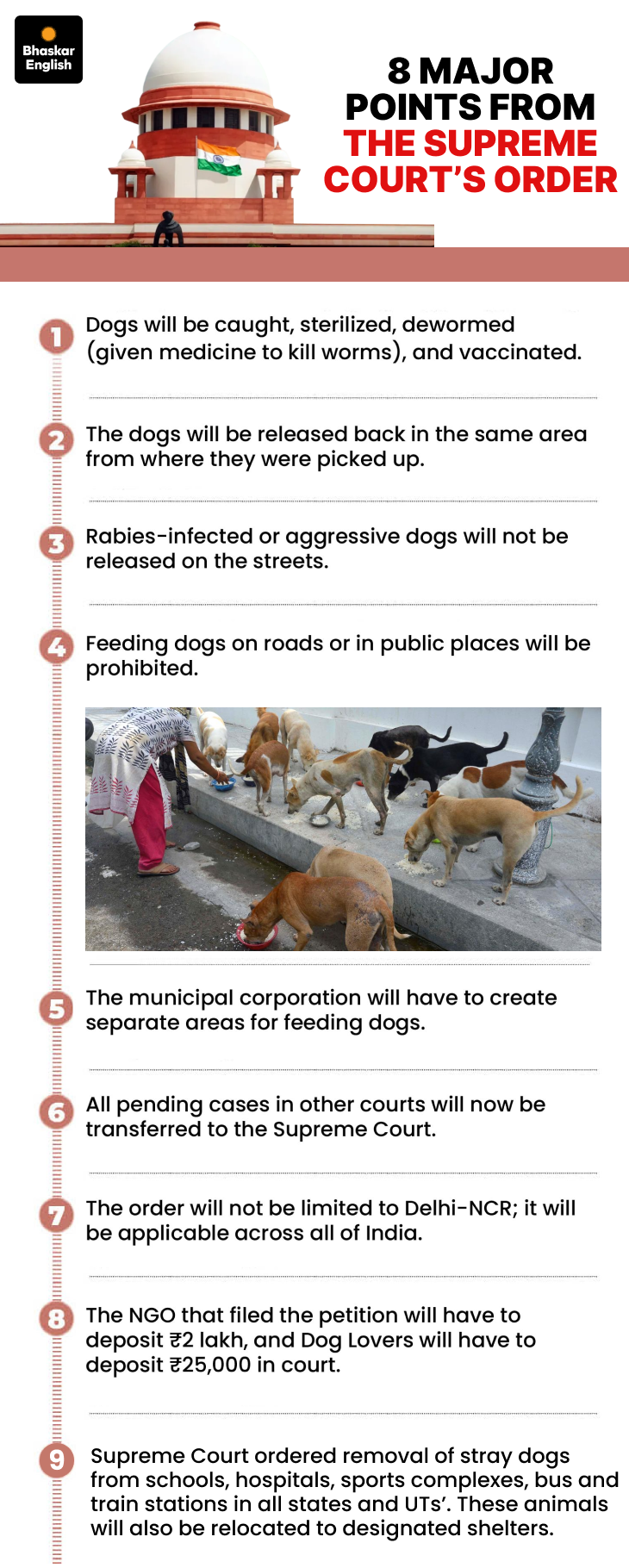 SC bars stray dogs in schools, hospitals, and highways; Revisiting the ...
