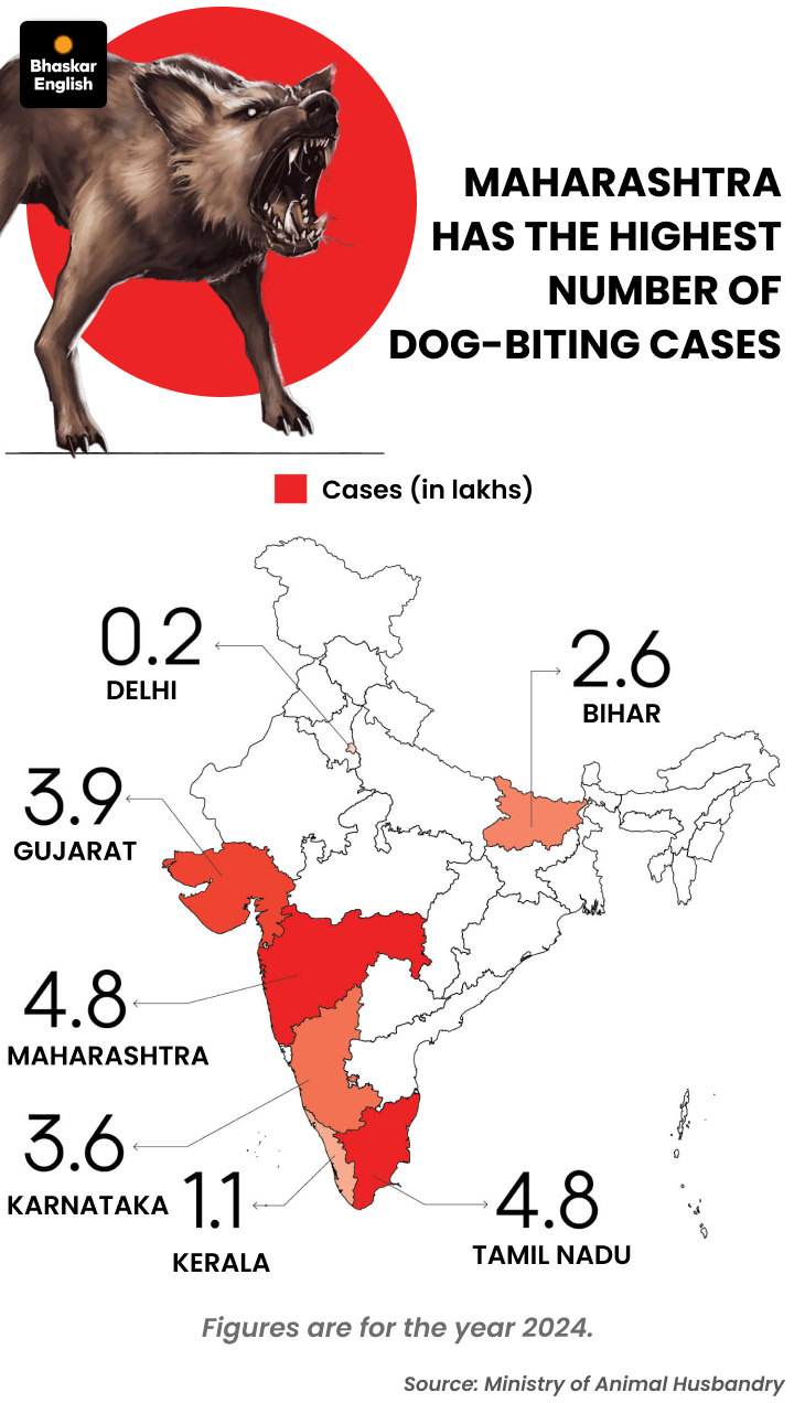 SC bars stray dogs in schools, hospitals, and highways; Revisiting the ...