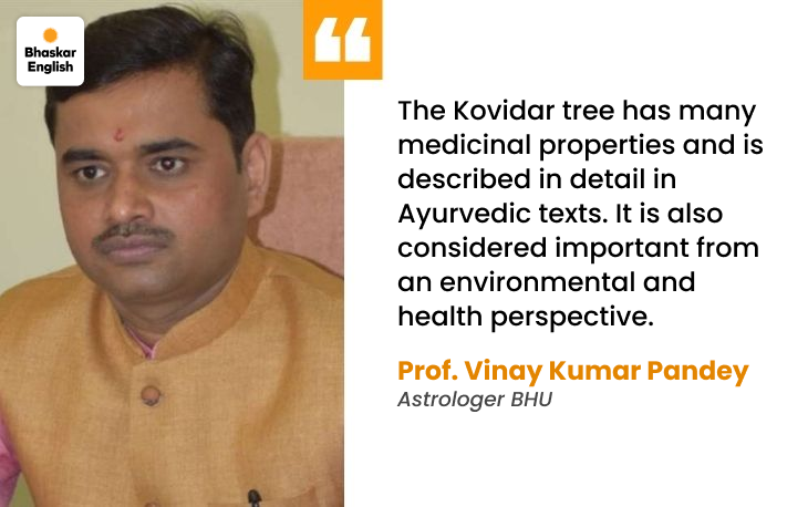 Grand flag hoisting at Ram Mandir on 25 November; PM Modi to raise 191 ...