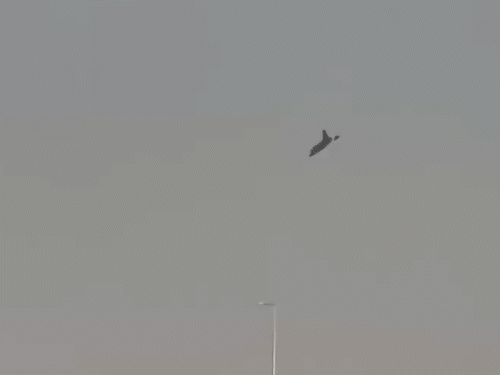 Bhaskar Evening Wrap: Indian LCA Tejas crashes during Dubai Air Show ...