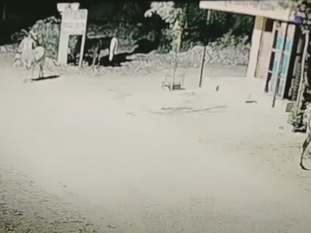 Sudden late-night blast in Jodhpur alarms residents: People rush out of ...