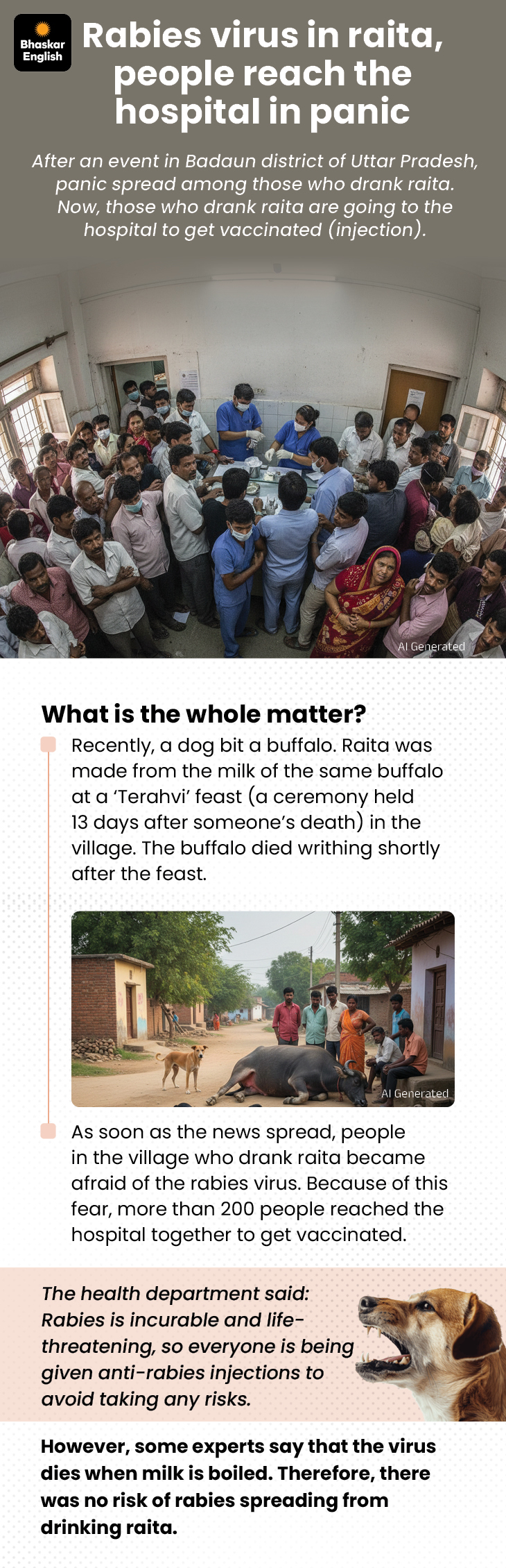 Rabies in Raita, AI Digital Drugs, & One-Finger Tech Founder | Bhaskar ...