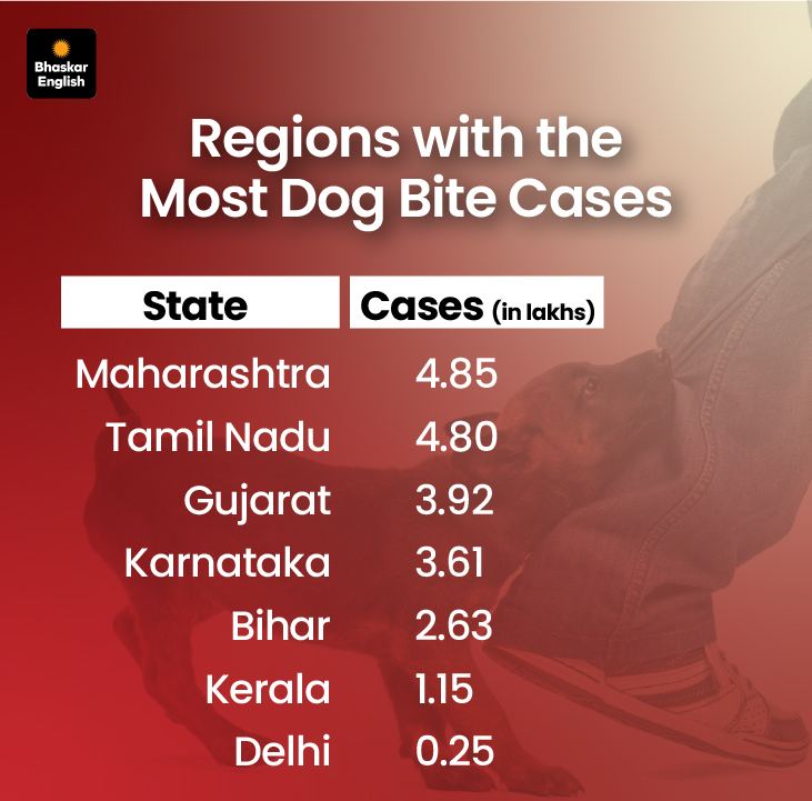 India’s Rabies Vaccine Concerns: Safety, Recall, and Travel Guidelines